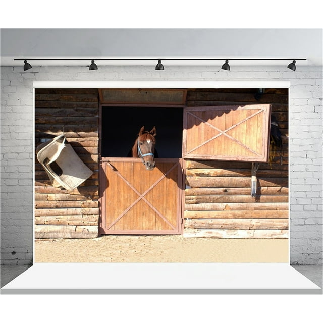 MOHome 7x5ft Old Barnboard Door Backdrop horse Stable Shed Vintage Wood ...