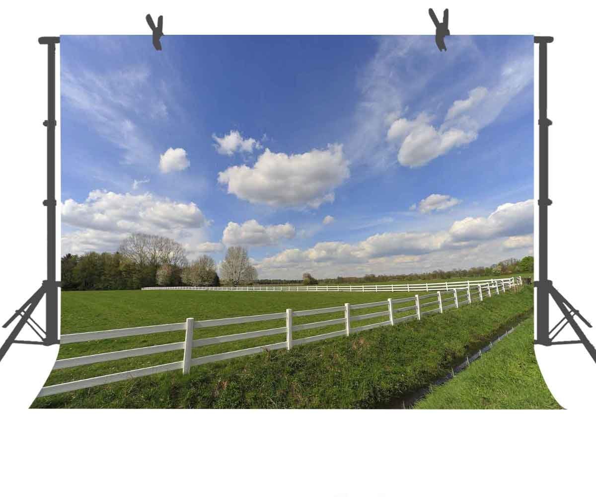 MOHome 7x5ft Pasture Under Blue Sky White Clouds Photography Backdrop ...