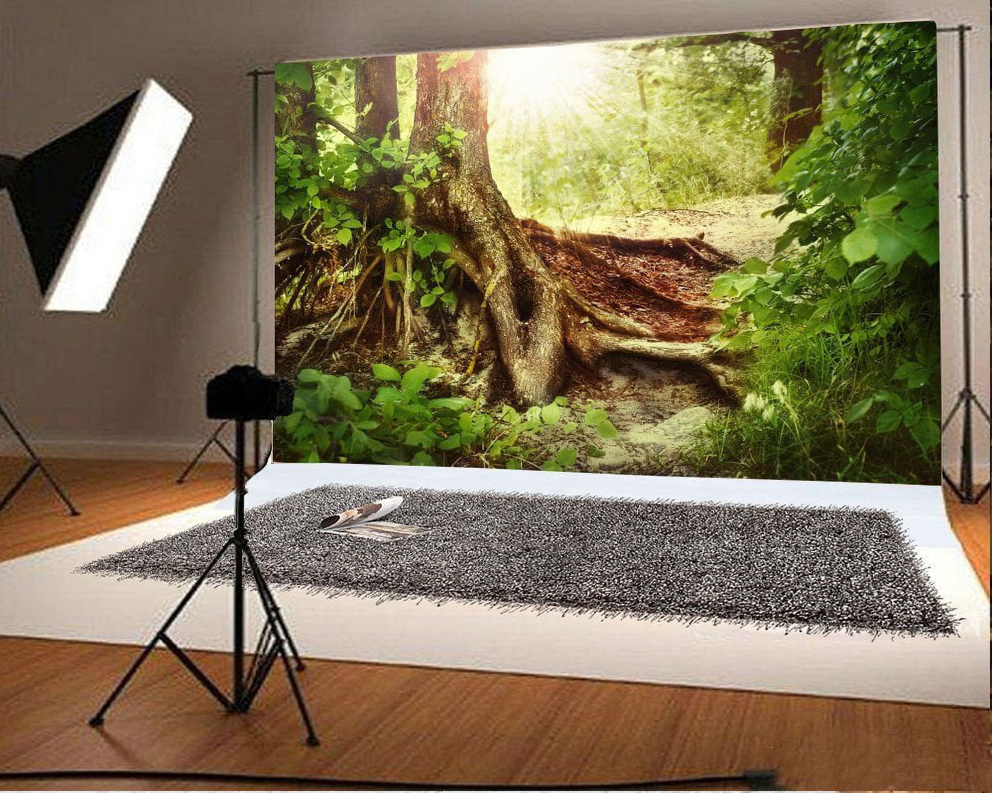 MOHome 7x5ft Photography Backdrop Beautiful Natural Scenery Forest ...