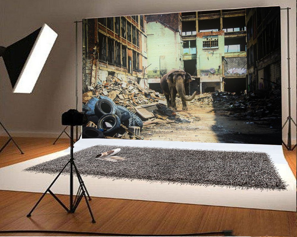 MOHome 7x5ft Photography Backdrop Shabby Chic Ruined House Elephant ...