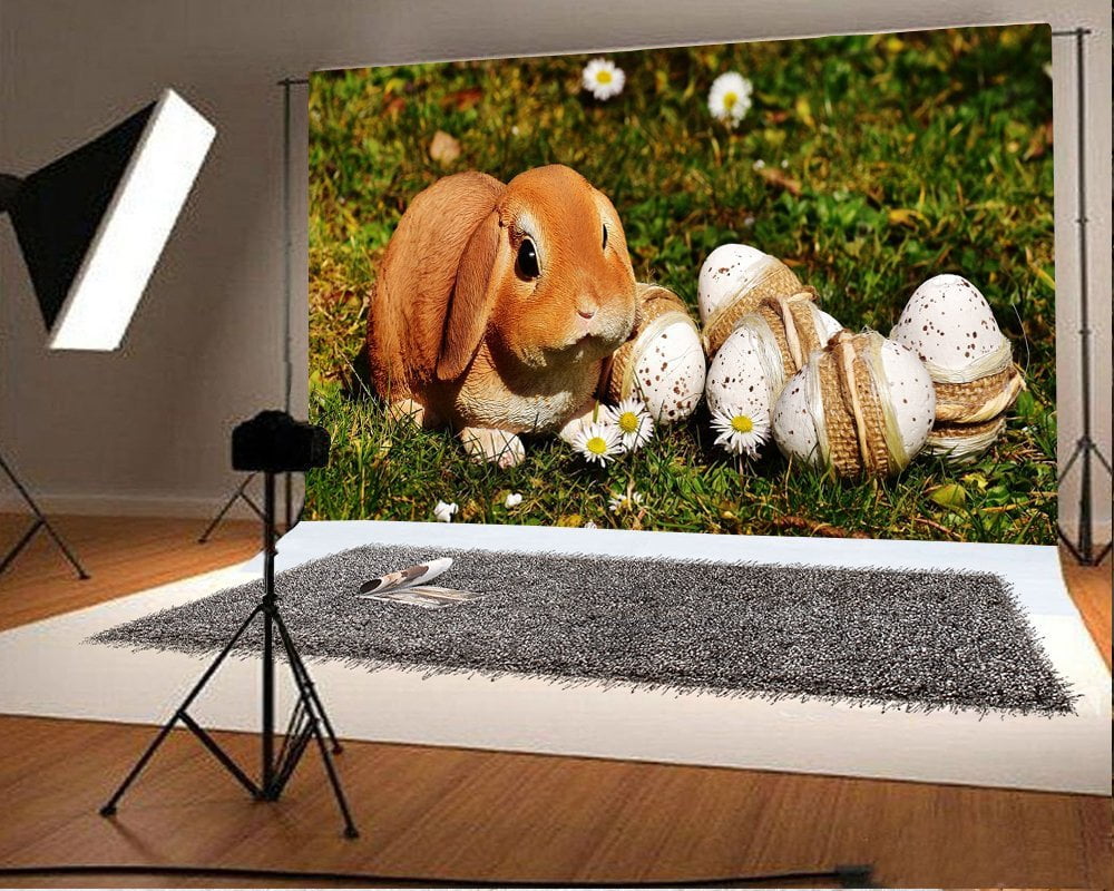 MOHome 7x5ft Photography Background Outdoor Cute Rabbit Grass Field ...