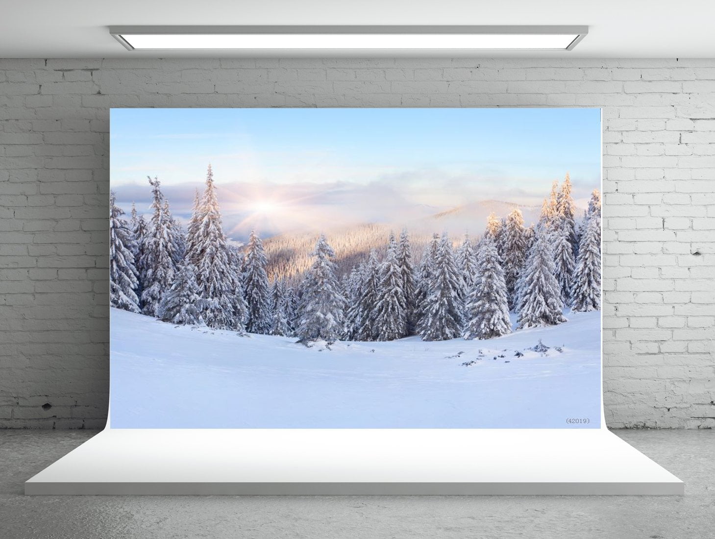 MOHome 7x5ft Pine Forest Photography Backdrops for Photo Props ...