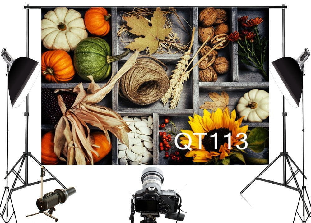 MOHome 7x5ft Pumpkin Car Photography Backdrop Photo Background Studio ...