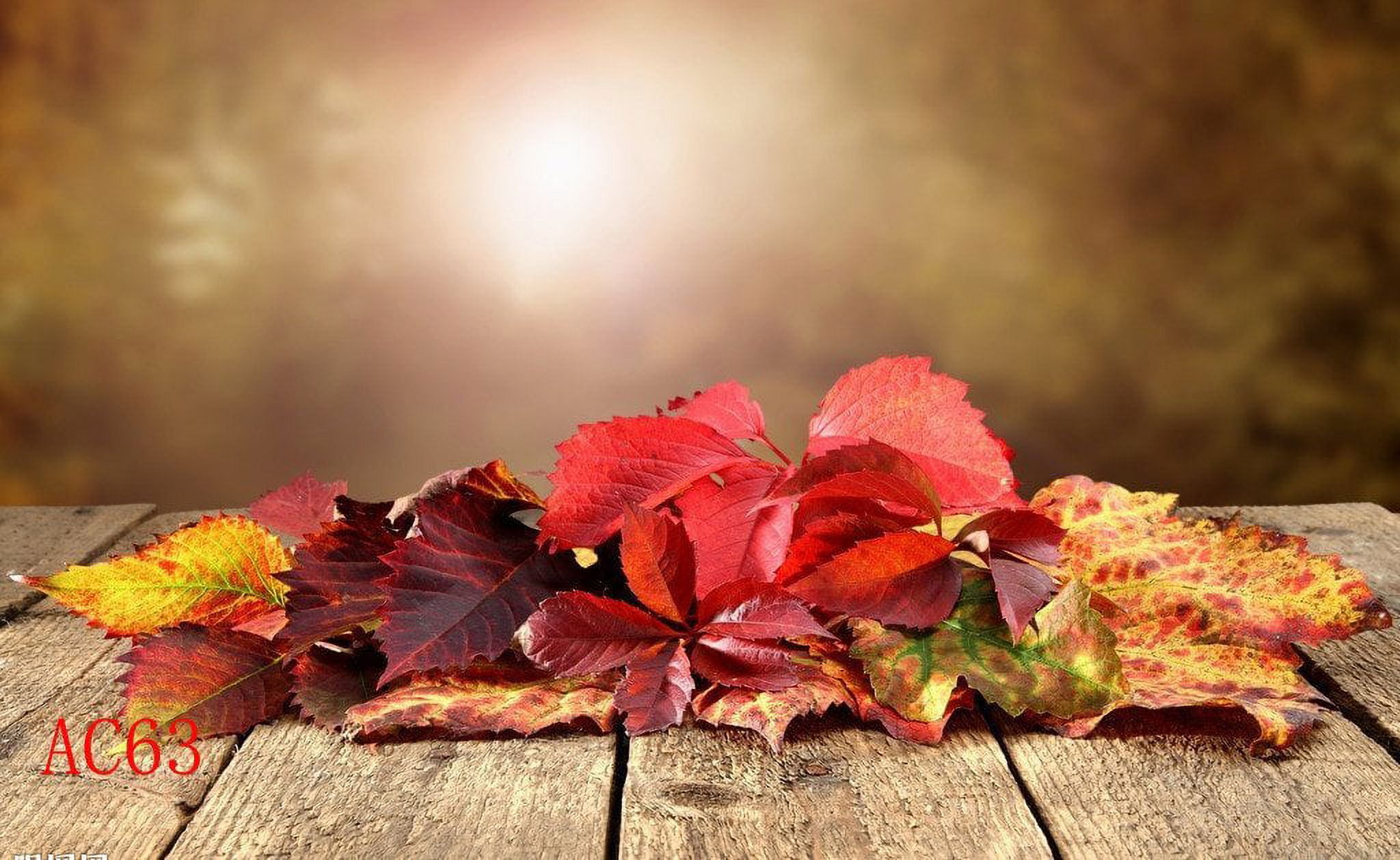 MOHome 7x5ft Red Leaves photography Backdrop Background studio prop ...