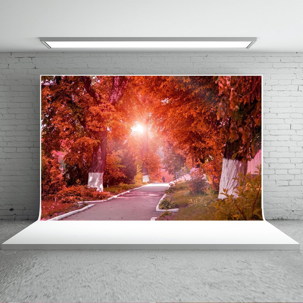 MOHome 7x5ft Red Sunset Form Old Forest Backdrop for Photographers ...