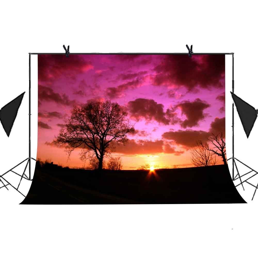 MOHome 7x5ft Sunset Photography Backdrop Sunset Red Sky Cloud Tree ...
