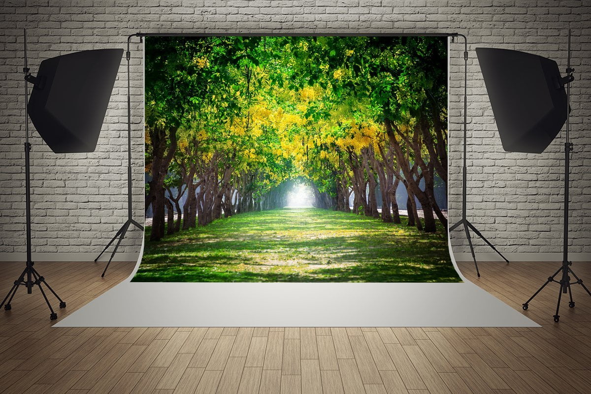 MOHome 7x5ft Sunshine Green Forests Party Decorations Photography ...