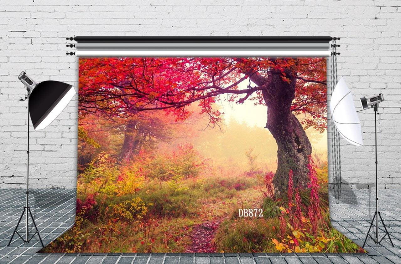 MOHome 7x5ft The Redwood Sap photography Backdrop Background studio ...