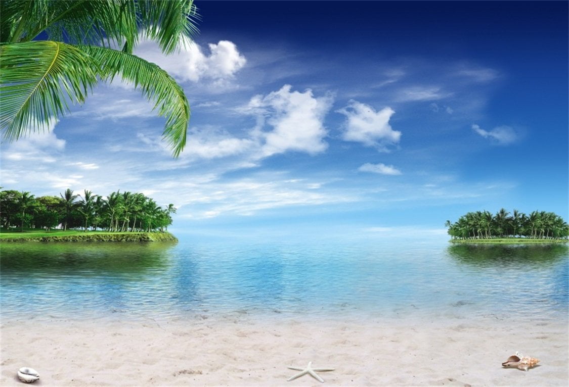 MOHome 7x5ft Tropical Sand Beach and Blue Sky Photography Background ...