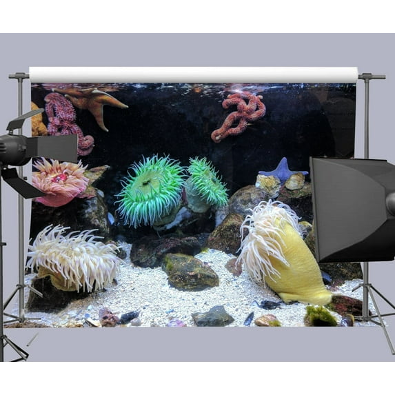 MOHome 7x5ft Underwater Coral Photography Backdrop Photo Props Seabed Theme Background Room ...