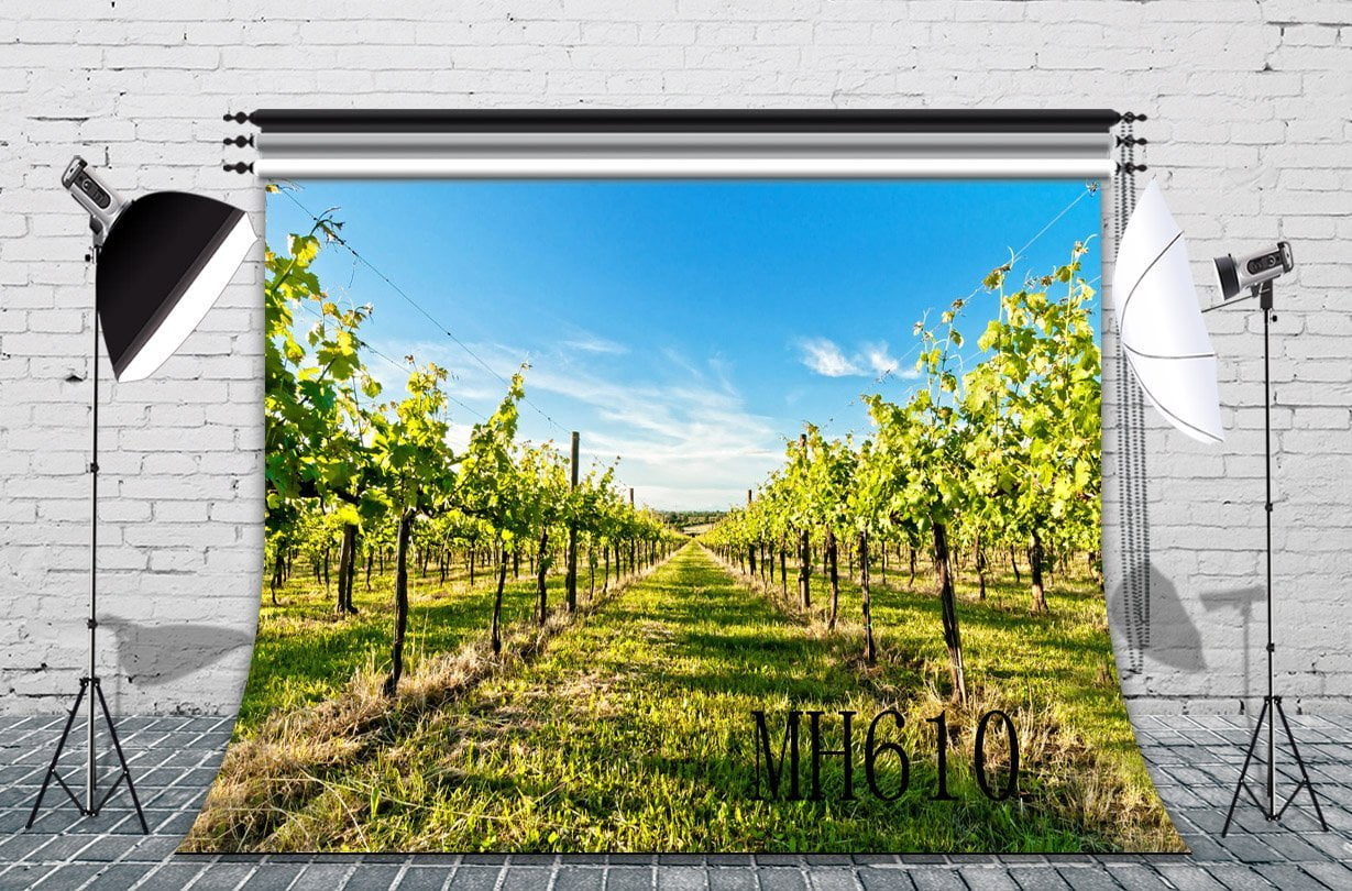 MOHome 7x5ft Vineyard Photo Backdrops Studio Background Studio Props ...
