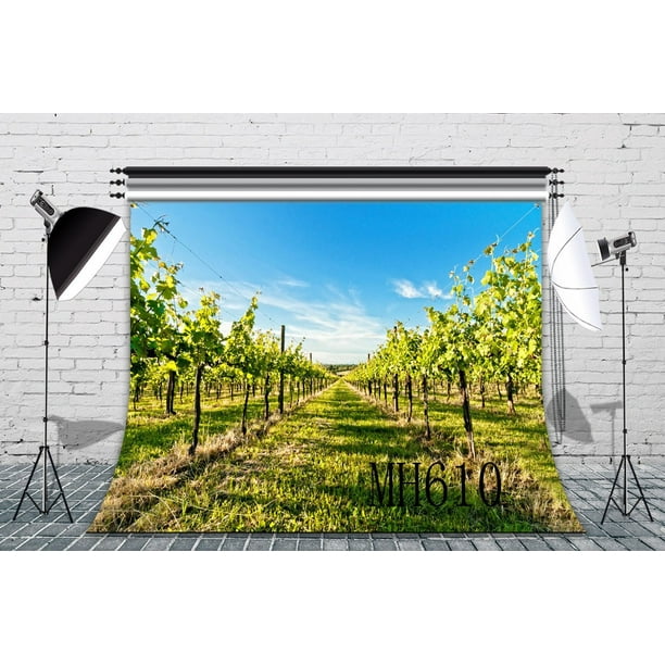 MOHome 7x5ft Vineyard Photo Backdrops Studio Background Studio Props ...