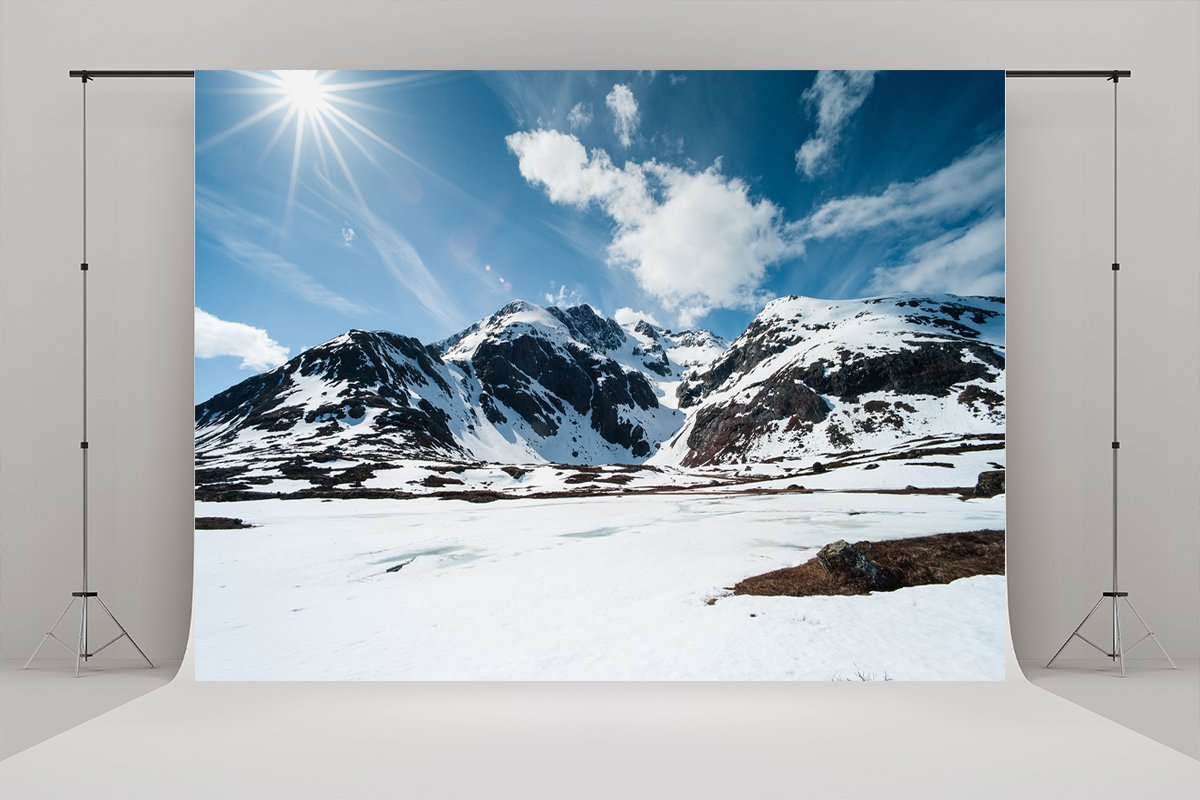 MOHome 7x5ft Winter Photo Background Sunshine Studio Props Snow ...