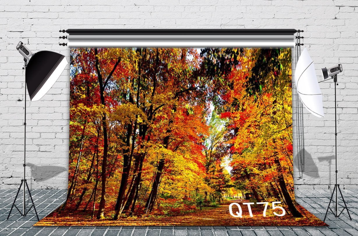 MOHome 7x5ft Woods in Autumn Fall Scenery Photography Backdrops Studio ...