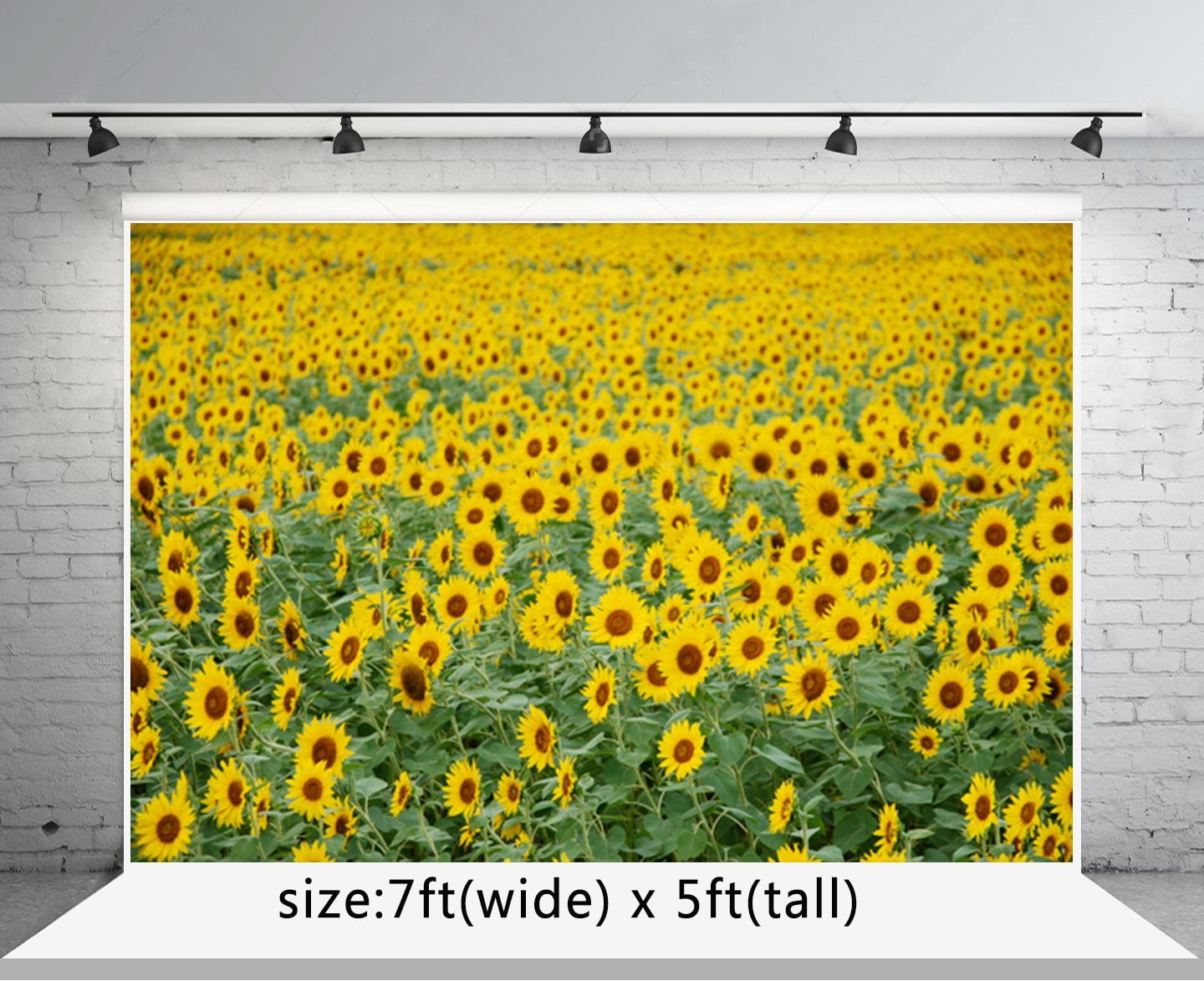 MOHome 7x5ft Yellow Sunflowers Photographic Background Natural Scenery ...