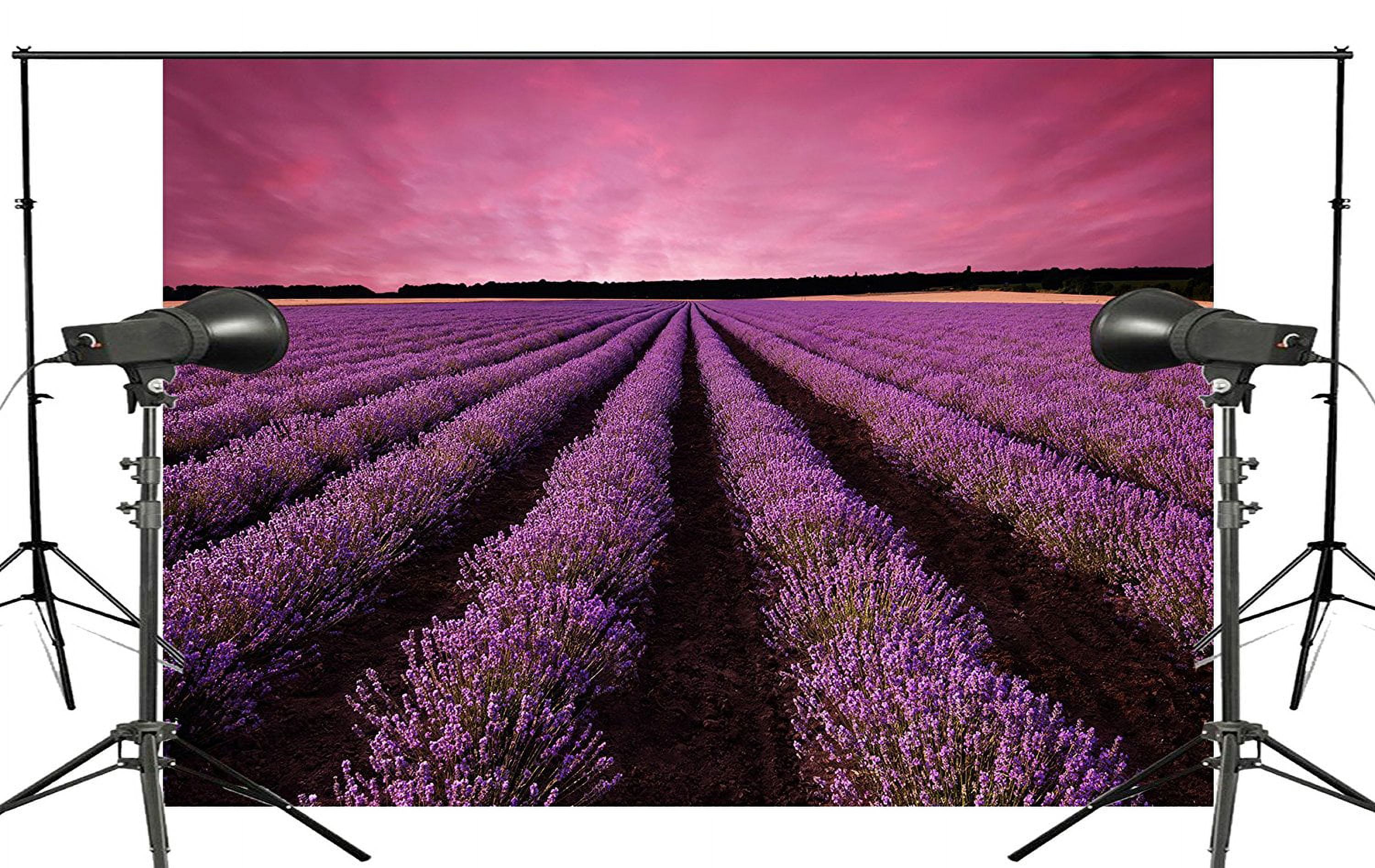 MOHome Lavender Manor Background Sky Photography Backdrop Studio Props ...