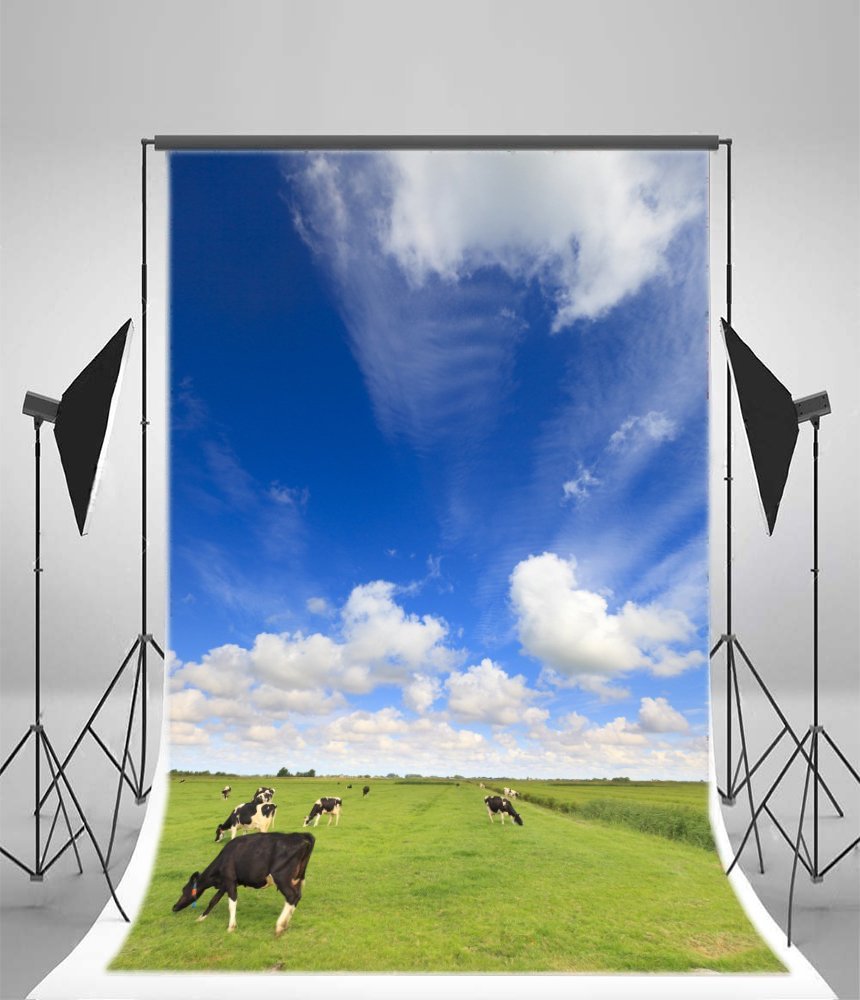 MOHome Pasture Cow Backdrop 5x7ft Photography Backdrop Green Grass Land ...