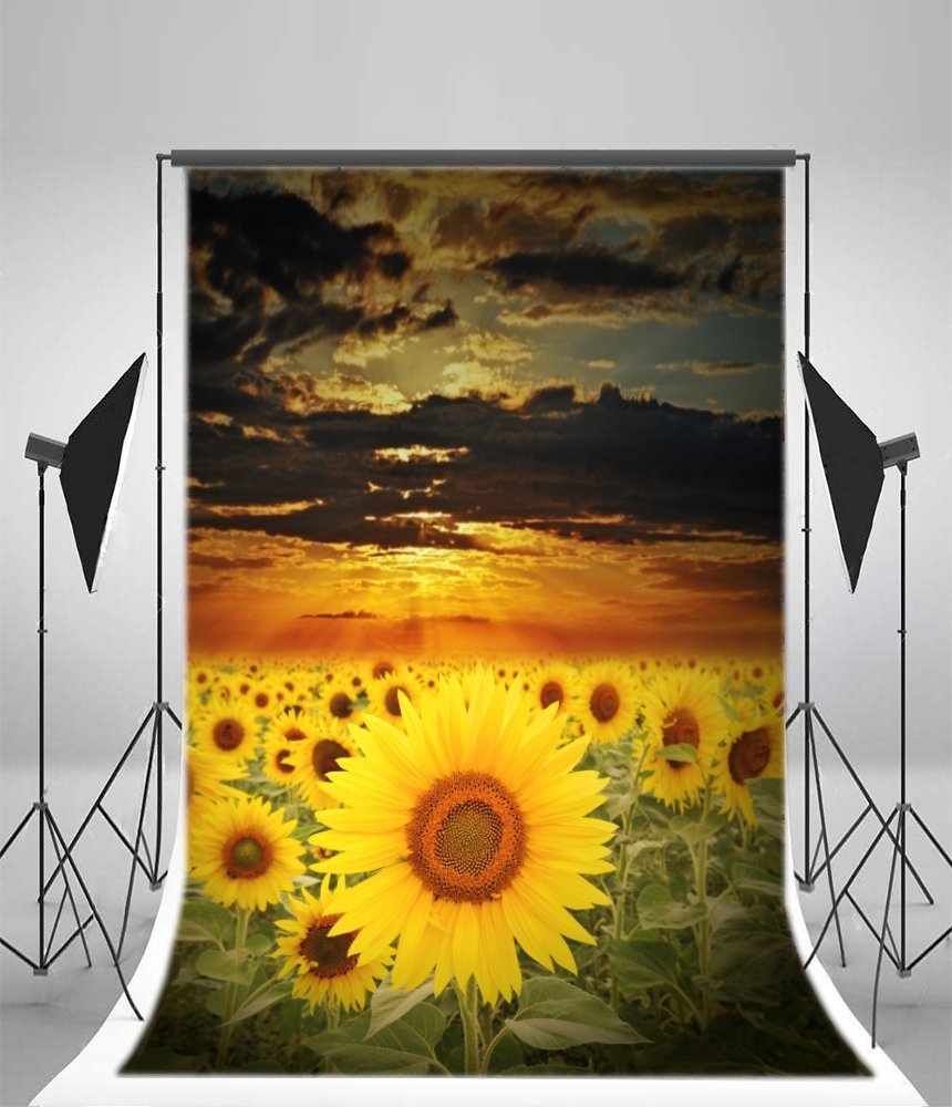 MOHome Photography Sunflowers Backdrop 5x7ft Dark Clouds Sunset Glow ...
