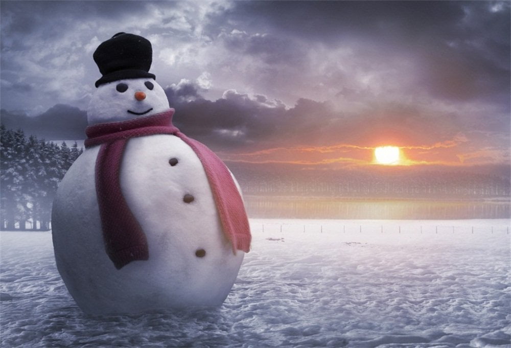 MOHome Snowman Backdrop 7x5ft Winter Snow Dusk Setting Sun Trees Clouds ...