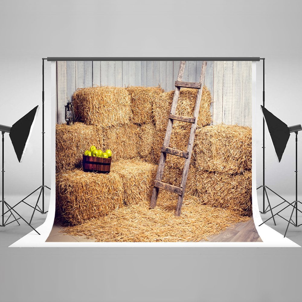 MOHome Yellow Haystack Photography Backdrop Newborn 5x7ft Wood Ladder ...