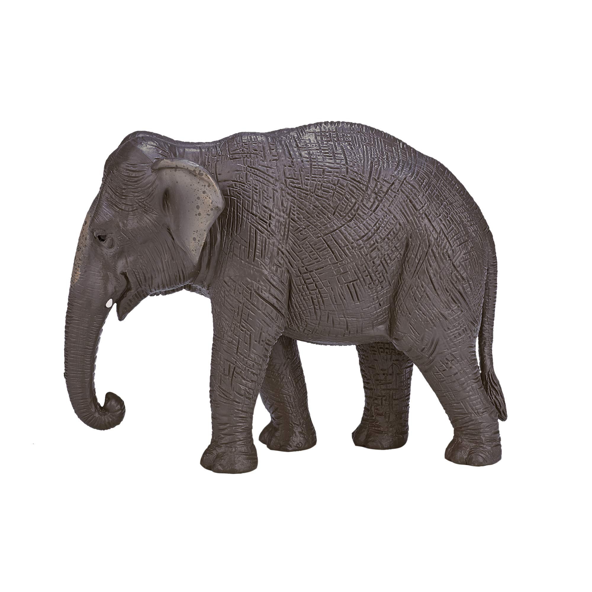 MOJO Asian Elephant Realistic International Wildlife Toy Replica Hand ...