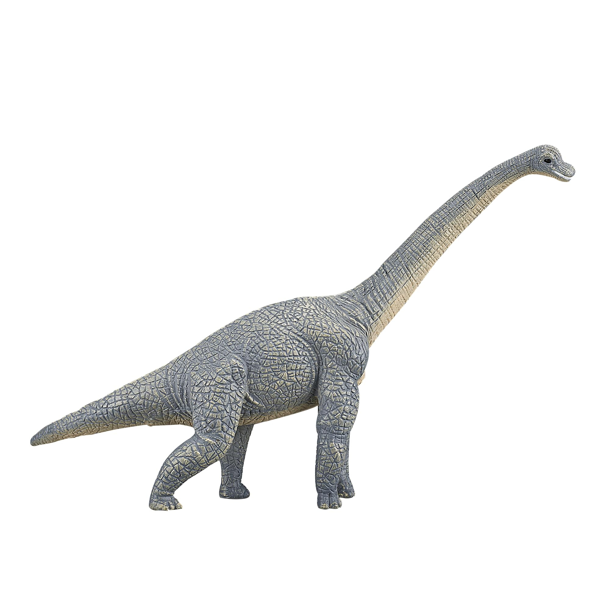 MOJO Brachiosaurus Realistic Dinosaur Toy Replica hand painted figurine ... MOJO Brachiosaurus Realistic Dinosaur Toy Replica hand painted figurine ...