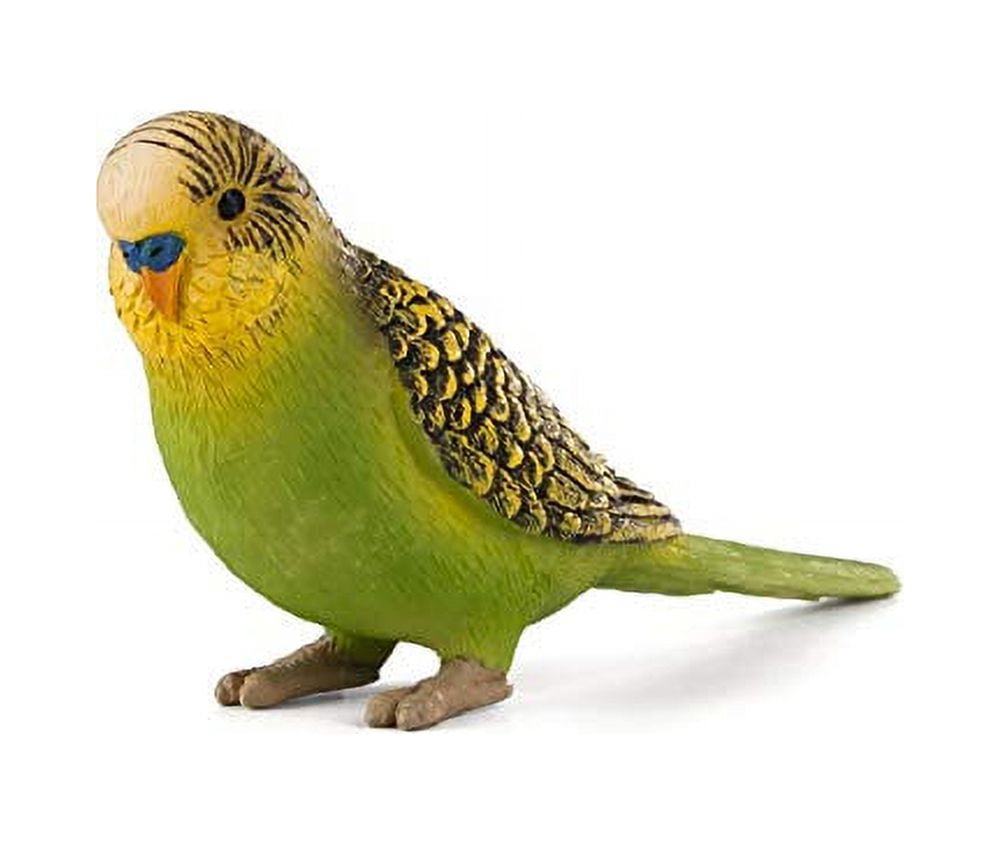 MOJO Green Budgerigar (Australian Parakeet) Realistic International ...