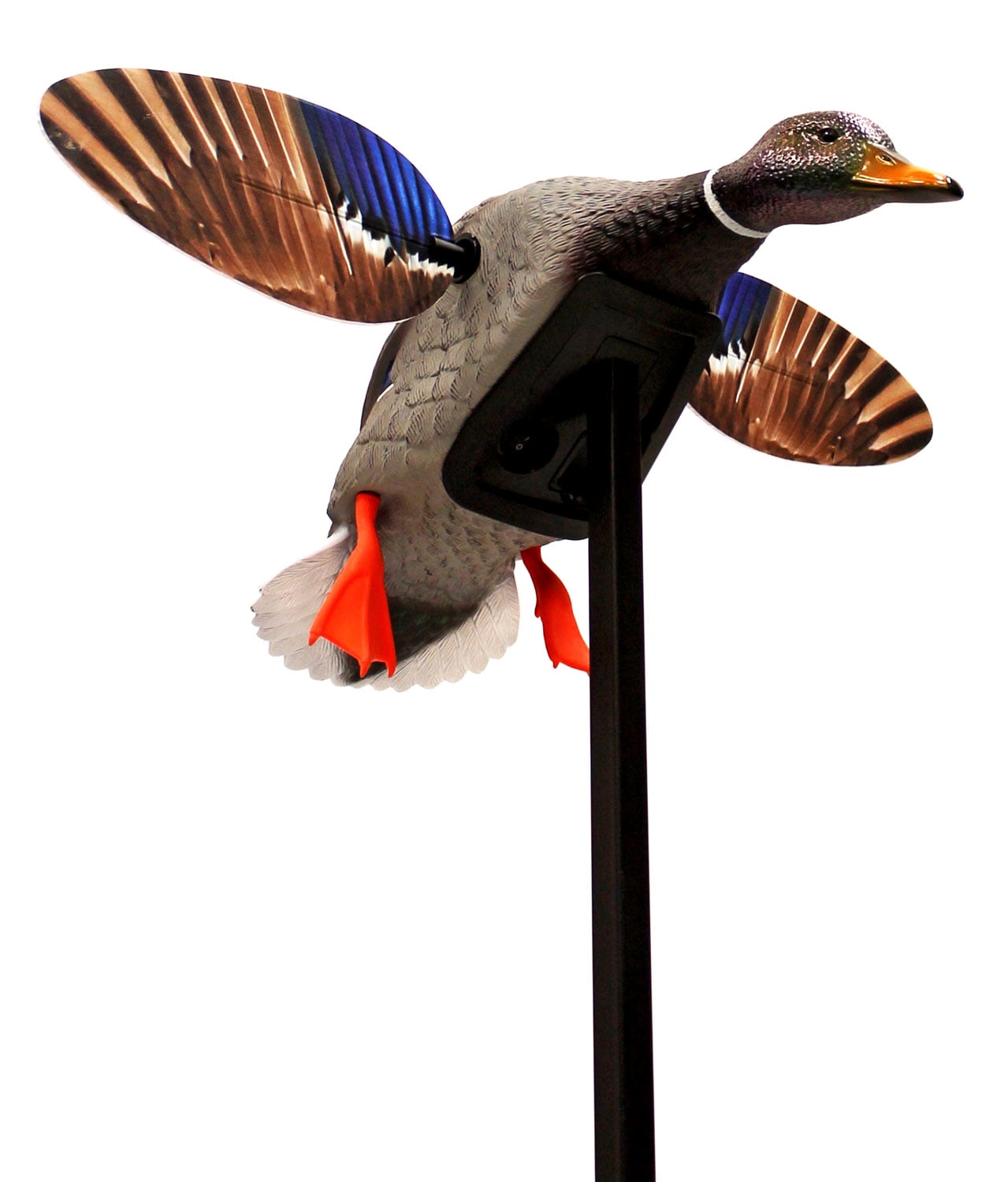 MOJO Outdoors Elite Series Mini Mallard Decoy, Spinning Wing ...
