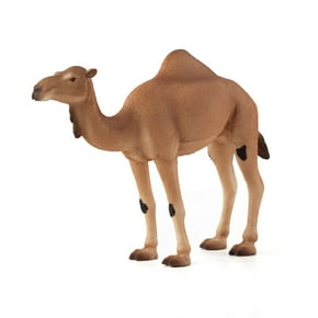 Camel Toys