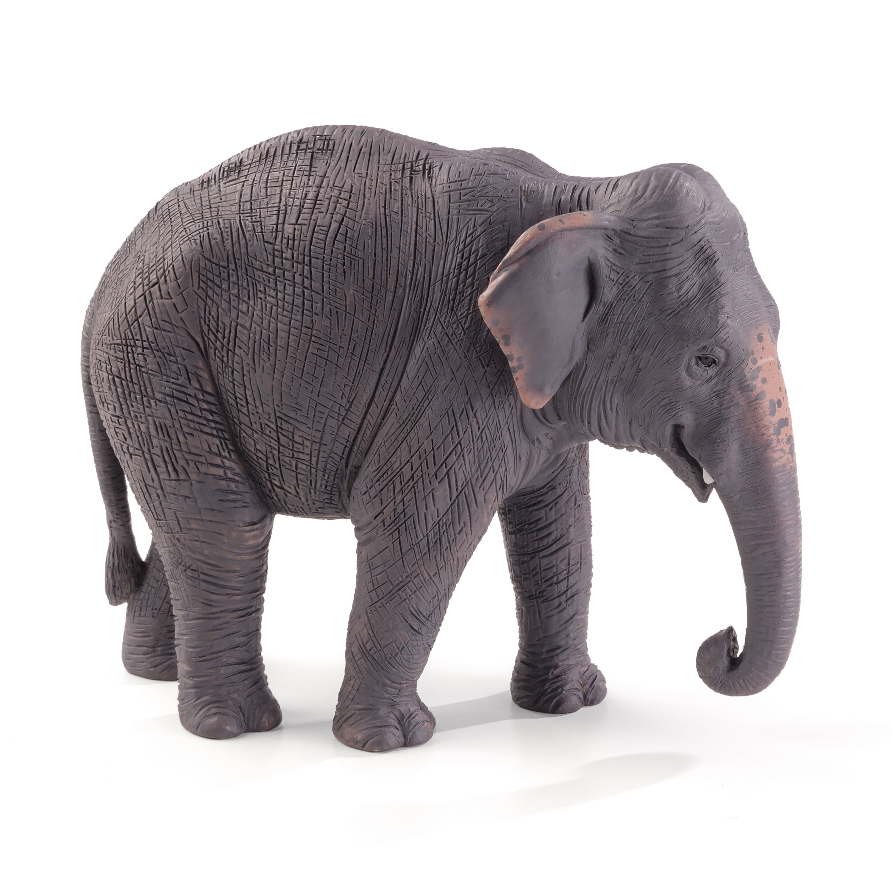 MOJO - Realistic International Wildlife Figurine, Asian Elephant ...