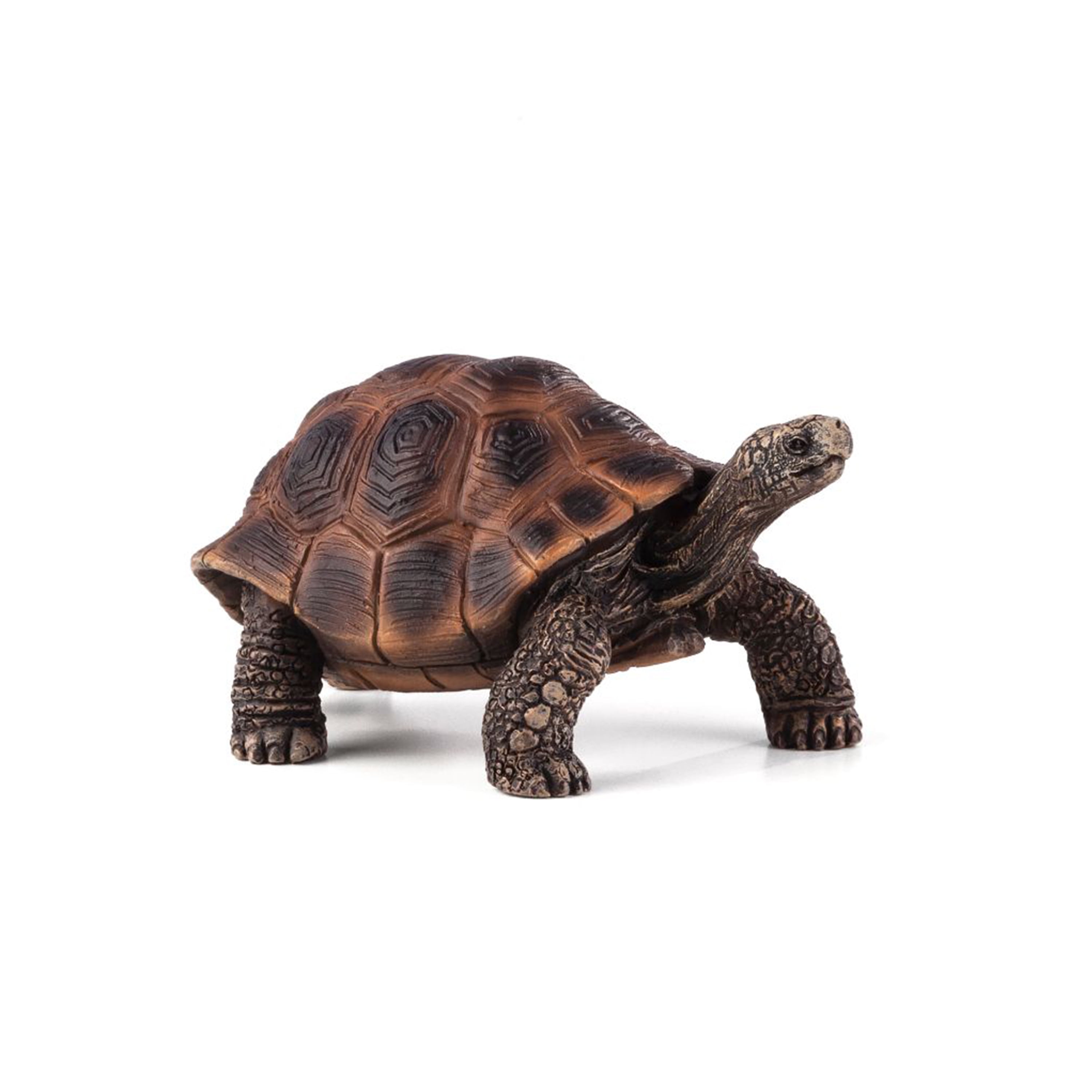 MOJO - Realistic International Wildlife Figurine, Giant Turtle ...