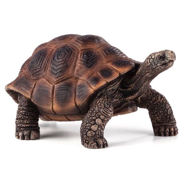 MOJO - Realistic International Wildlife Figurine, Giant Turtle ...