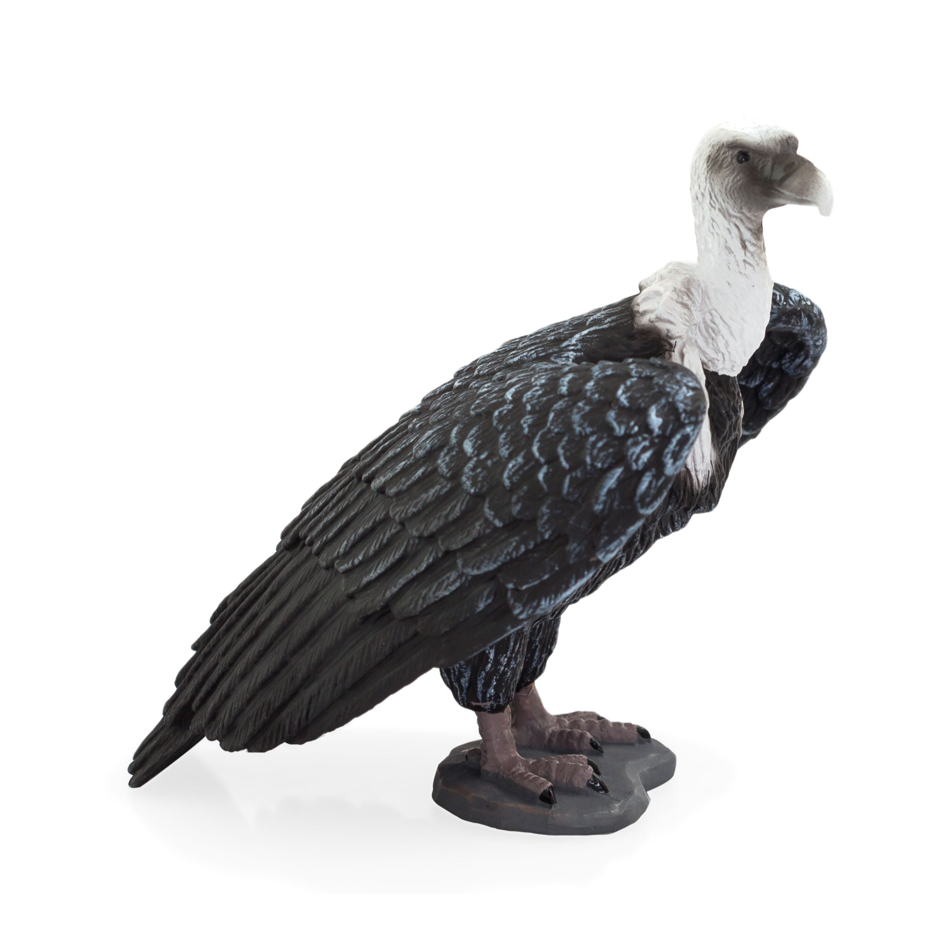 MOJO - Realistic International Wildlife Figurine, Griffon Vulture ...