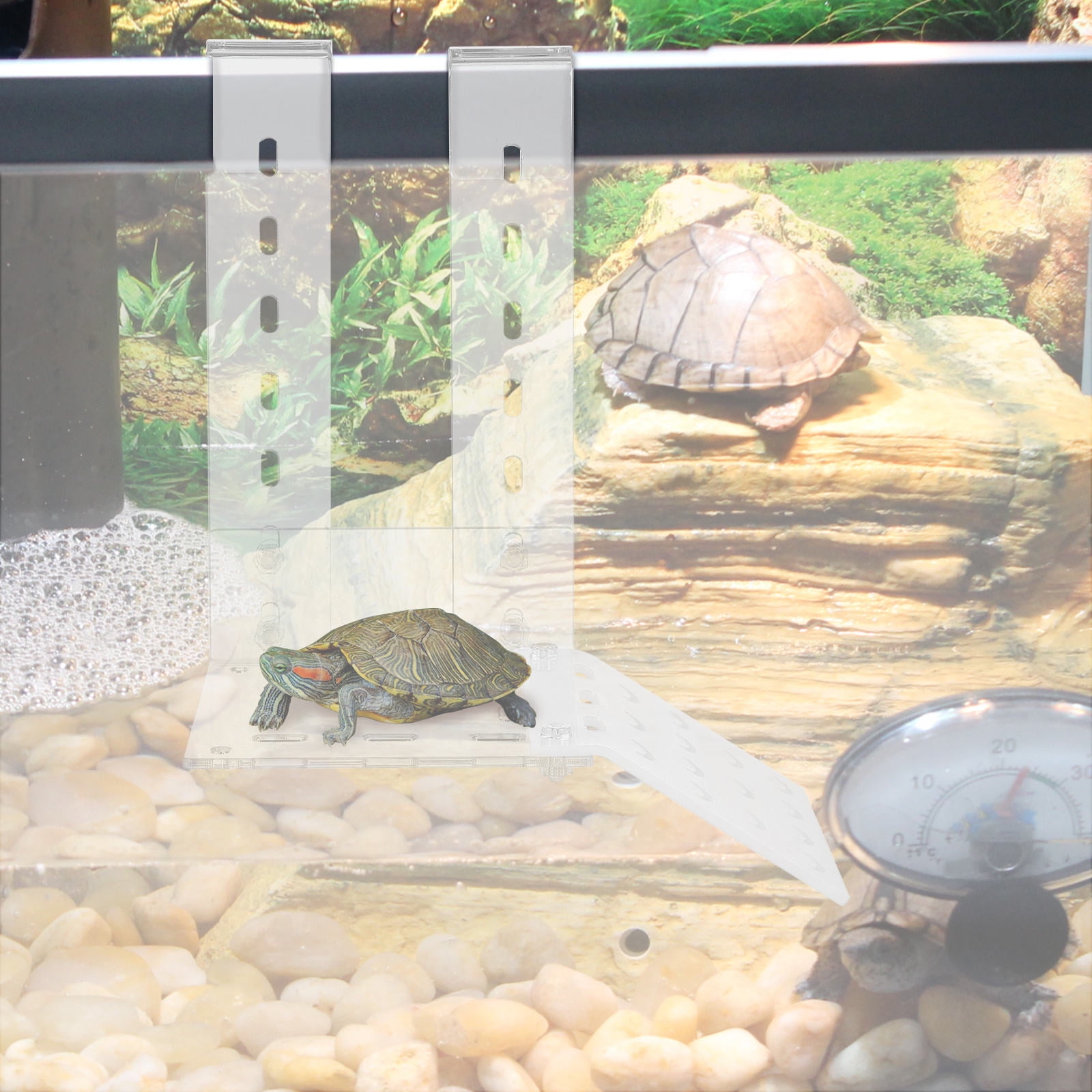 MOKKHNB 1 Set Acrylic Transparent Turtle Platform Basking Rack For ...