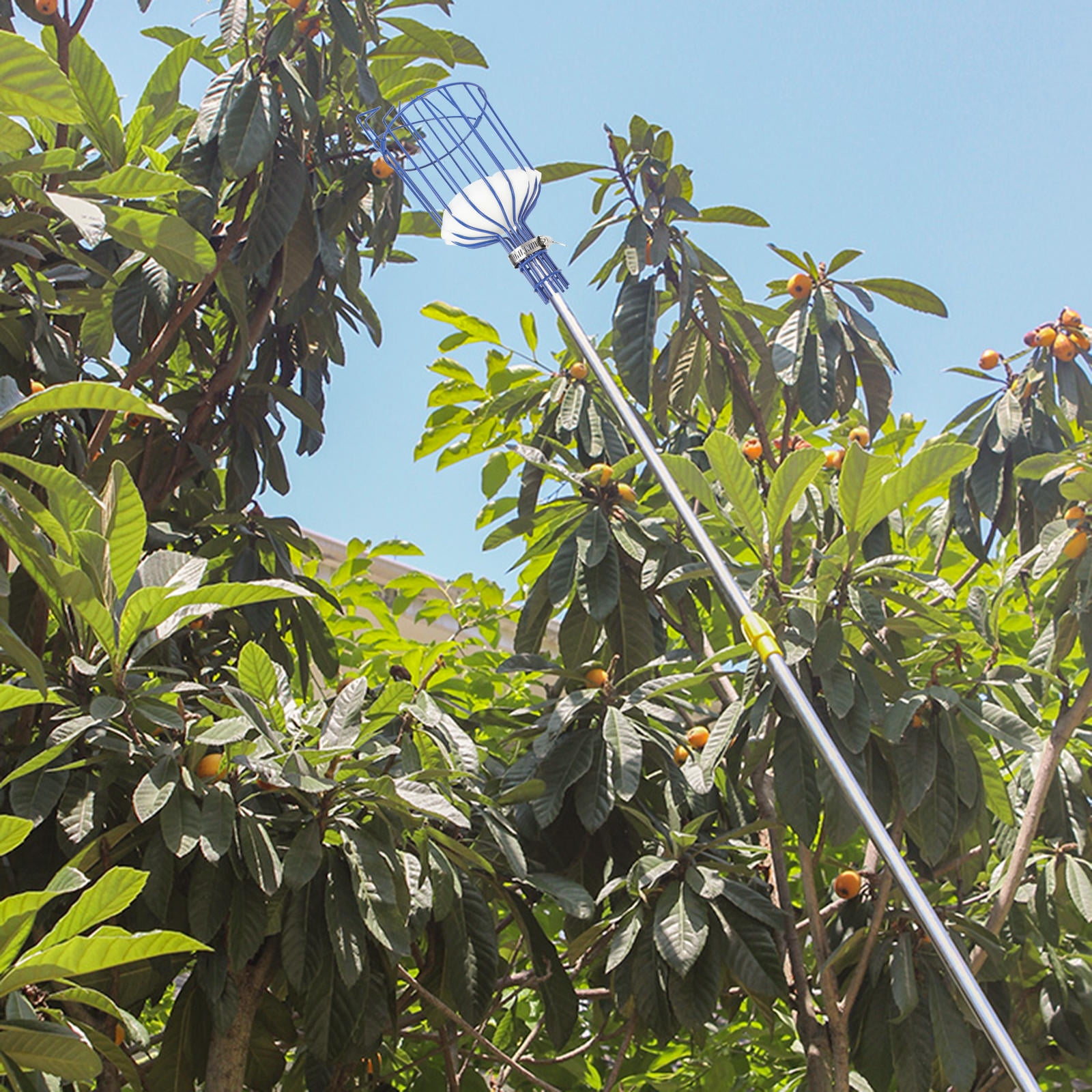 MOKKHNB 1Pack Fruit Artifact Blue Plastic Labor Saving Tool for Orchard ...