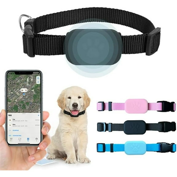 Blue Frog Track N Guard Protective GPS Tracking Dog Collar, Blue, Large ...