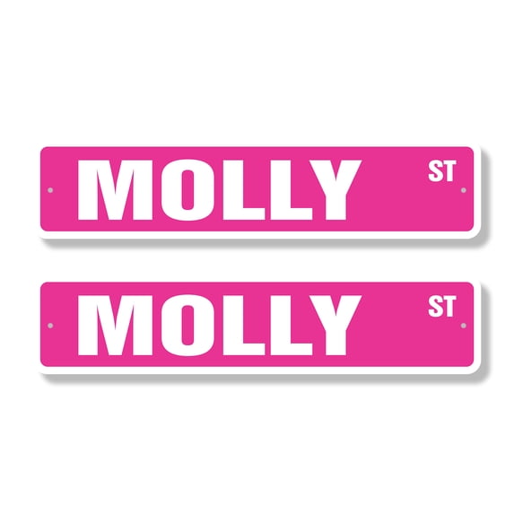 MOLLY Classic Street Sign (2 Pack) Childrens Name Room Sign Road Sign ...