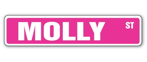 MOLLY Street Sign Childrens Name Room Sign | Indoor/Outdoor | 30" Wide ...