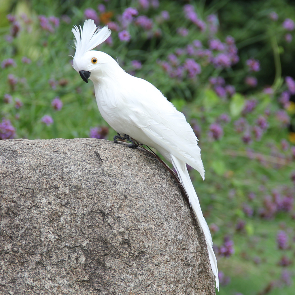 MOMFEI Artificial Birds, Fake Birds, Colorful Fake Feather Parrot ...