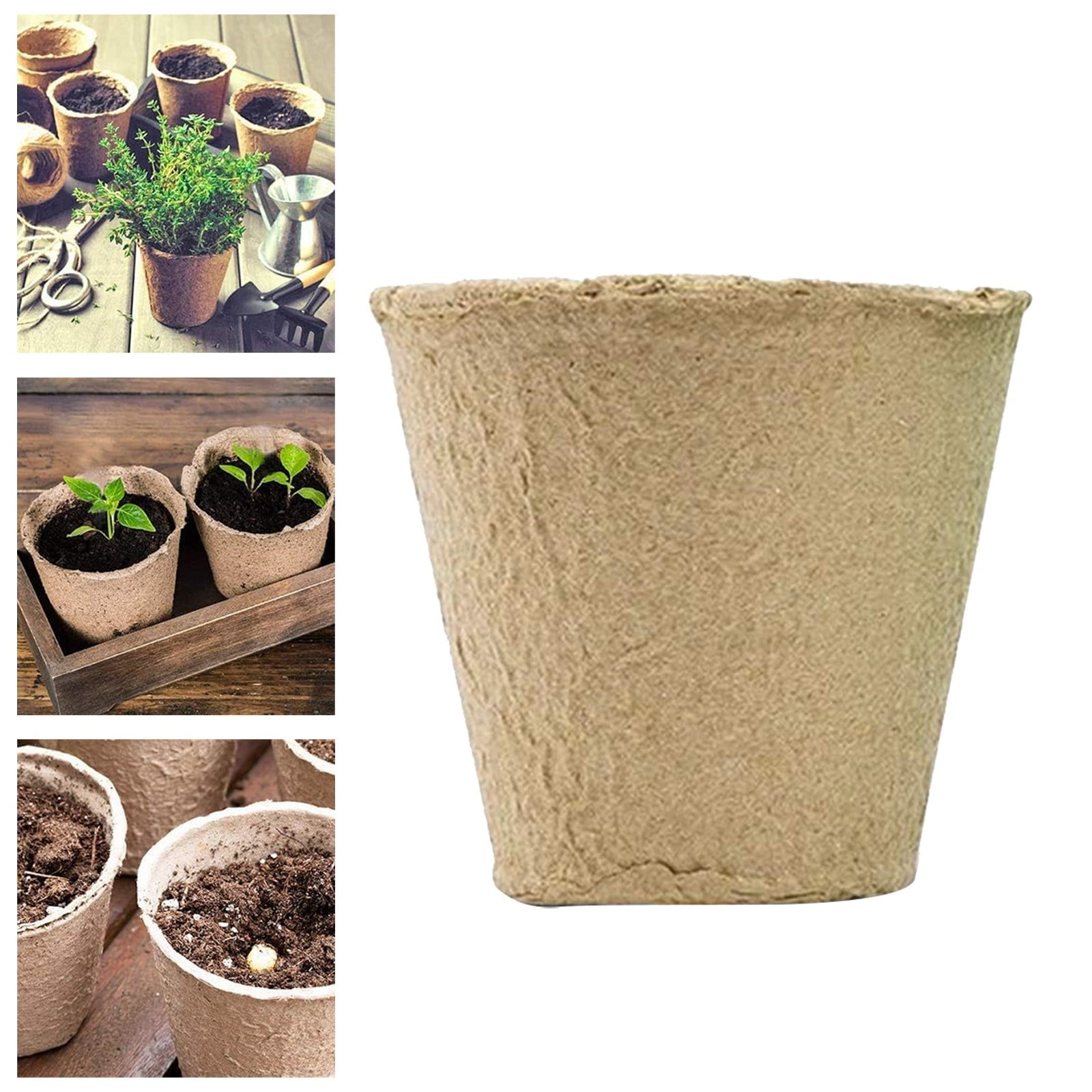 MOMFEI Biodegradable Plant Seed Pots,20-Pack Nursery Pots for Flower ...