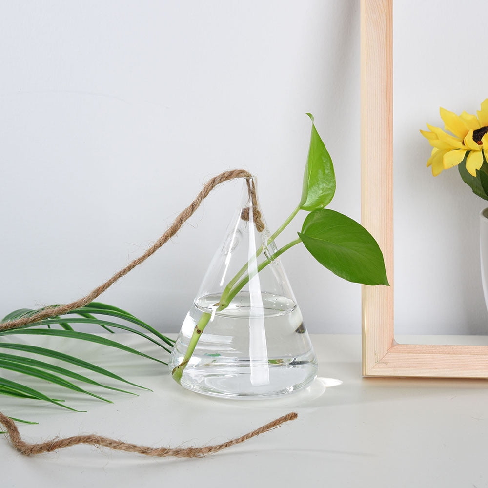 MOMFEI Glass Wall Hanging Plant Propagation Station,Glass Planters ...