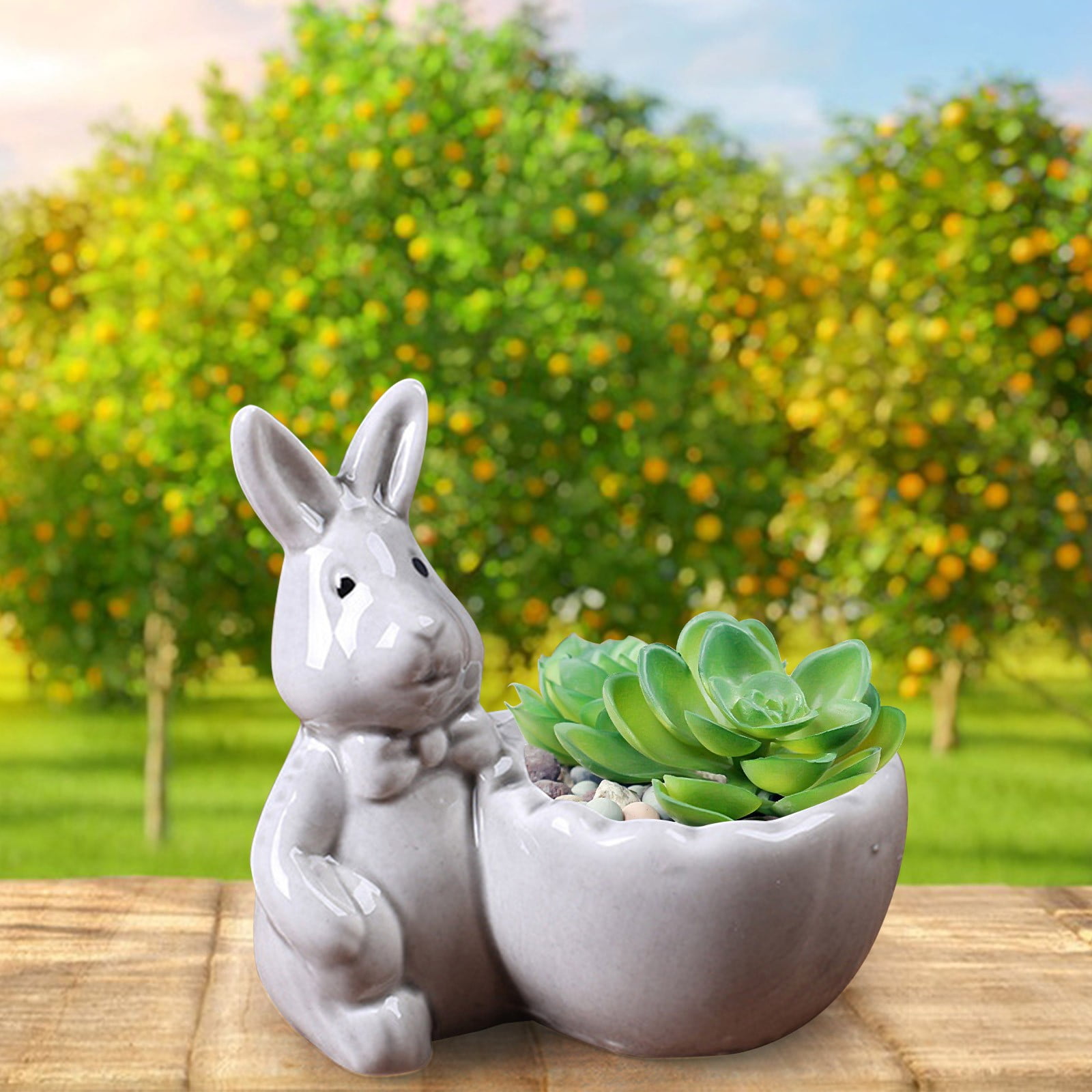 MOMFEI Mini Succulent Planter with Rabbit Figurine,Rabbite Decor for ...