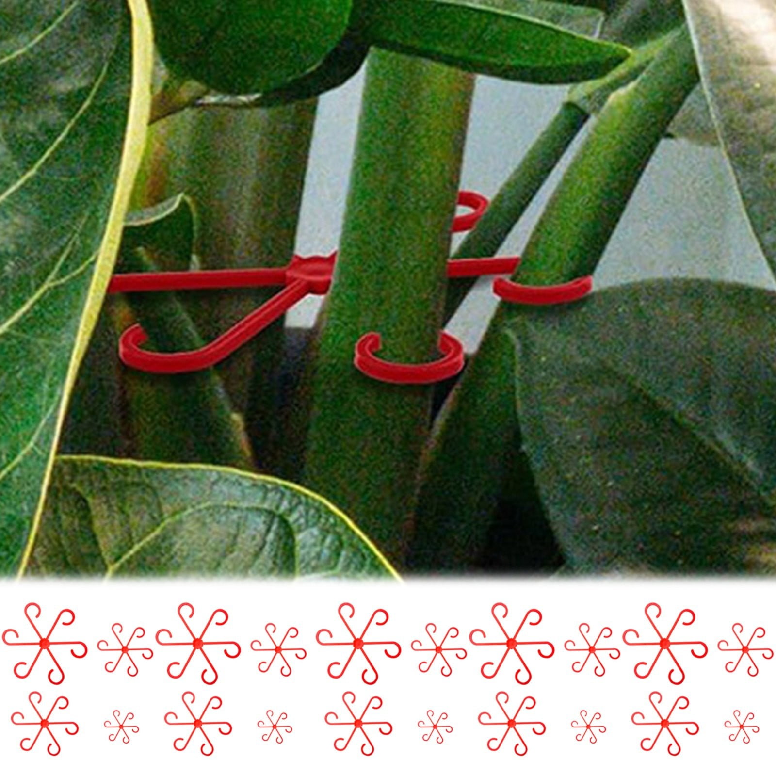 MOMFEI Plastic Climbing Plant Stem Supports,Flower Stake Trellis ...