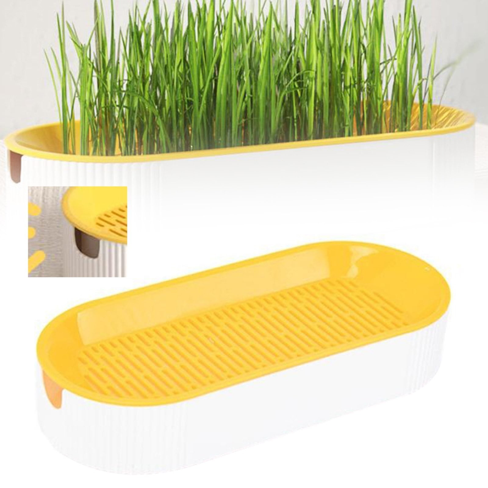 MOMFEI Plastic Tray Cat Grass Growing Kit, Wheatgrass Planter (Seeds ...