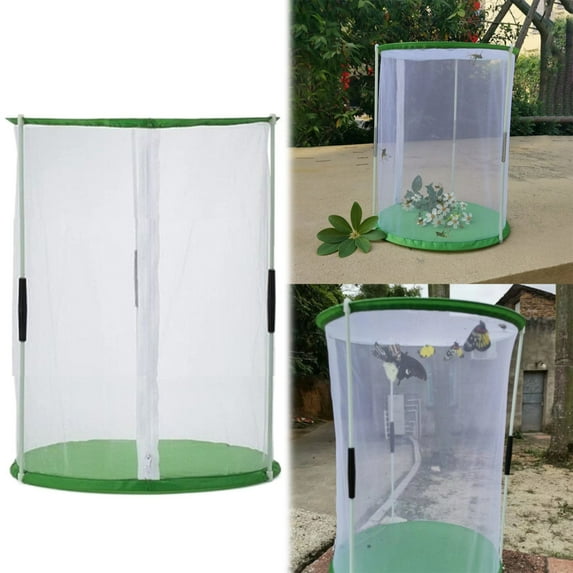 MOMFEI Transparent Butterfly and Insect Habitat Cages,Flying Mesh ...