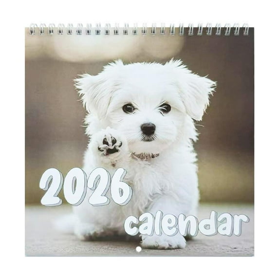 MOMOJIA 2026 Wall Hanging Design Artistic Calendar Tear Resistant Paper ...