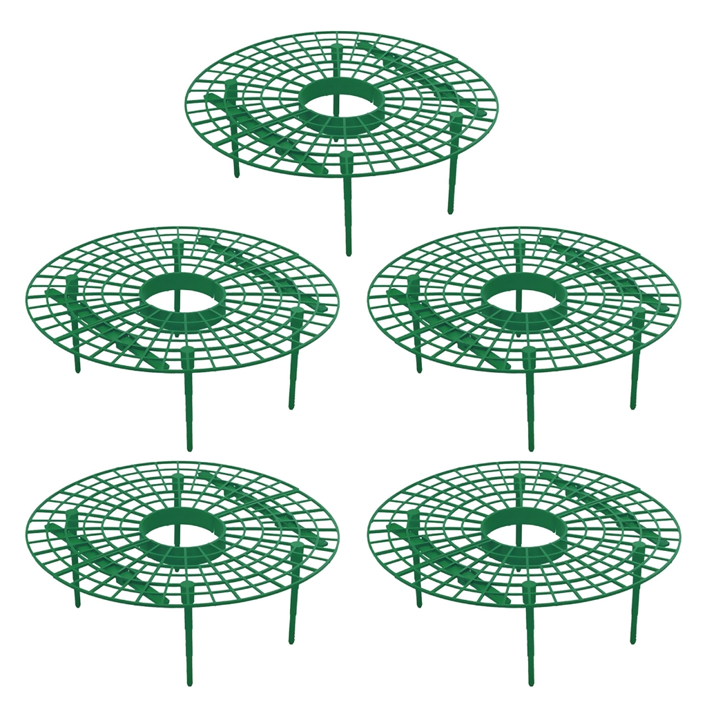 MOMOJIA 5Pcs Strawberry Plant Support Strawberry Growing Racks ...