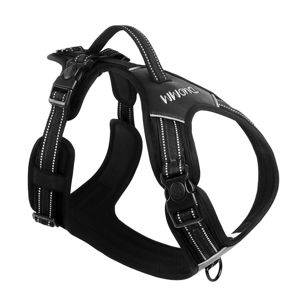 MOMOJIA Adjust Size Reflective Pet Chest Straps Perfect for Evening ...