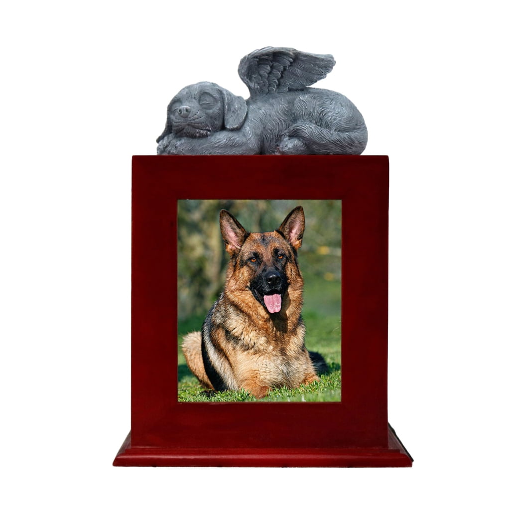 MOMOJIA Dog Funeral Cremation Urn for Ashes Pet Wood Memorial Urns for ...