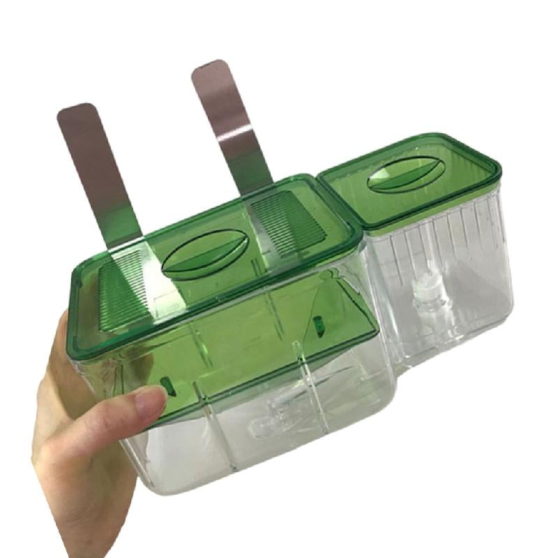 MOMOJIA FishTank Hatchery Incubator Aquarium Small Breeding Box Clear ...